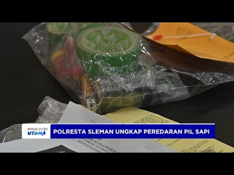 POLRESTA SLEMAN UNGKAP PEREDARAN PIL SAPI DI KAWASAN WISATA - YouTube