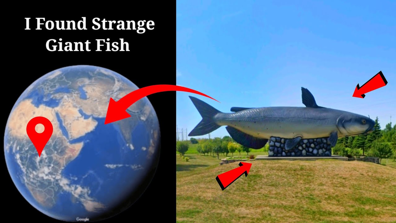 I found strange giant fish on Google Earth and Google maps #viralvideo ...
