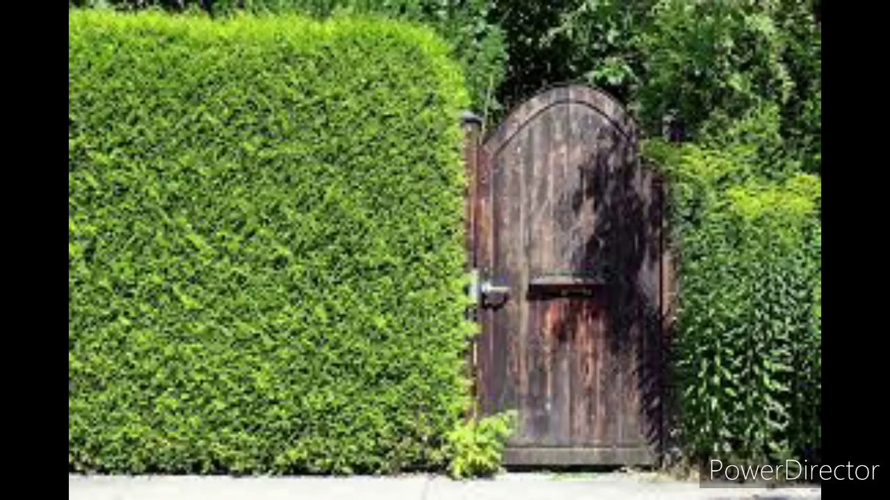 Privacy plants list||uyir veli||Tamil - YouTube