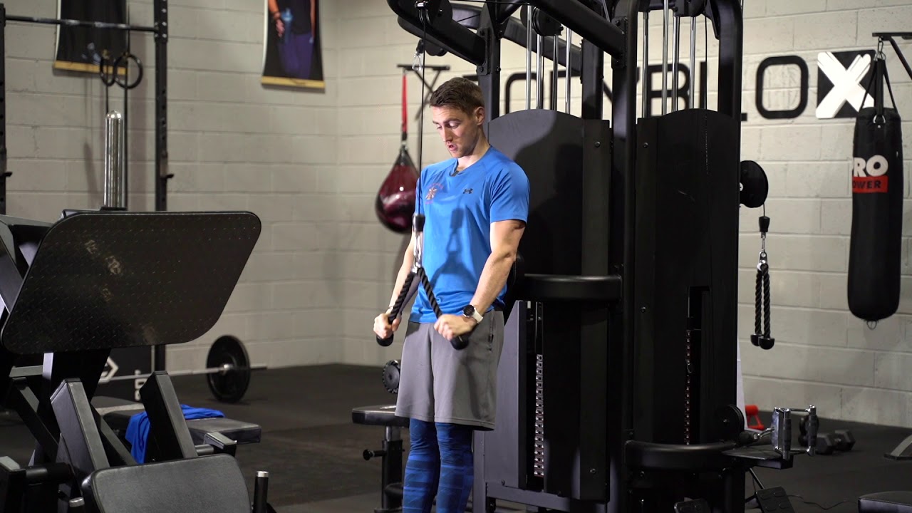 Tricep Extension (Back Supported) - YouTube