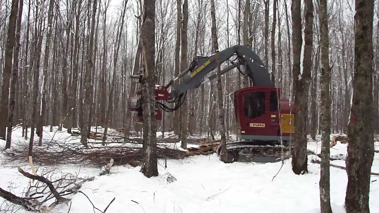 Puma 220 Tree Harvester and CRS19 Processor Head, 2 - YouTube