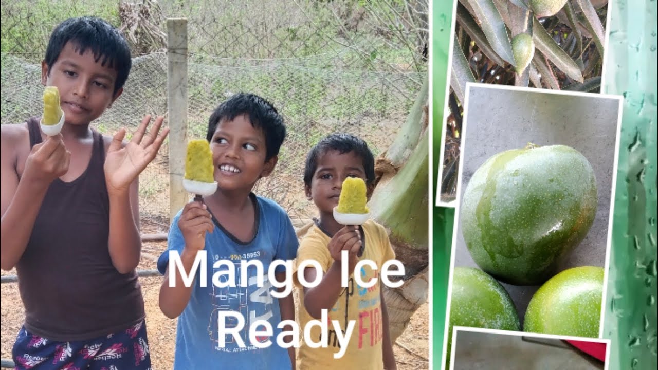 mango ice stick/mango ice pop - YouTube