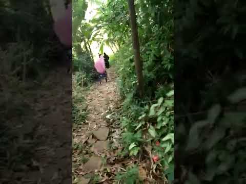 tanah Jonggol punya bokap d beli Tante