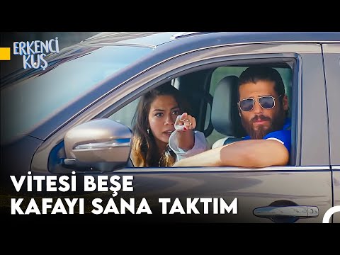 Bizde Aşk, İhtiras ve Aksiyon Eksik Olmaz - Erkenci Kuş