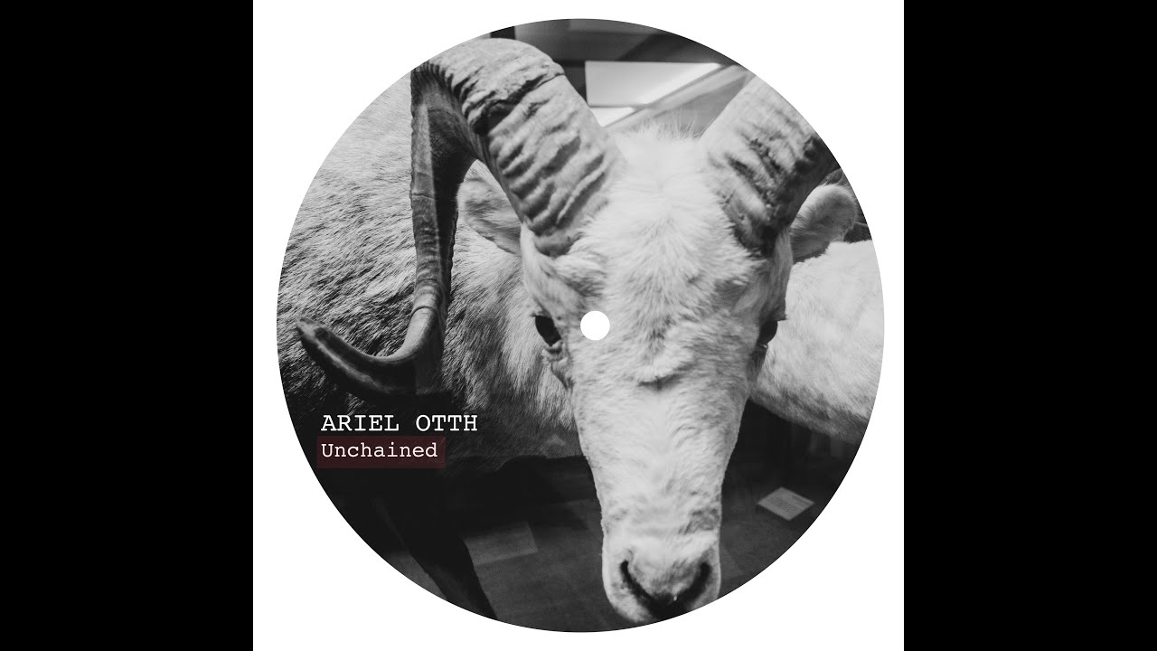 Ariel Otth - Revenge (2022) - YouTube