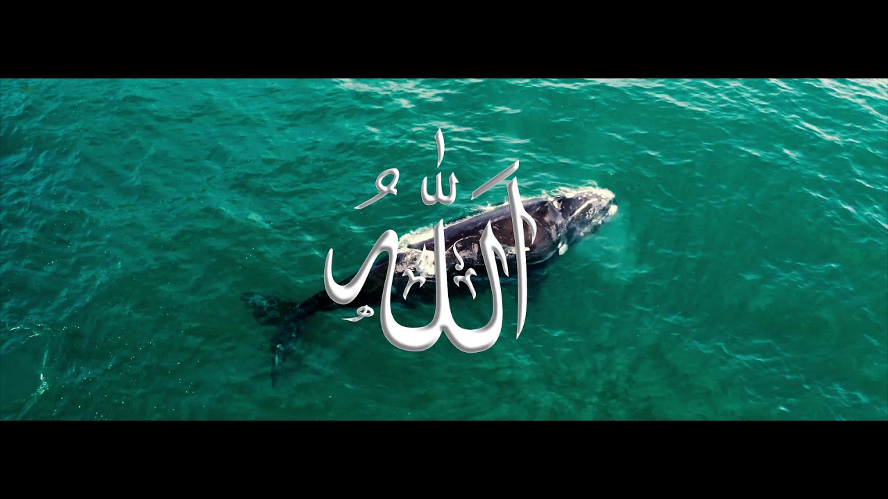 New Hamdiya Poem I Manzil Bhi Teri Zaat Hai I Bilal Raja - YouTube