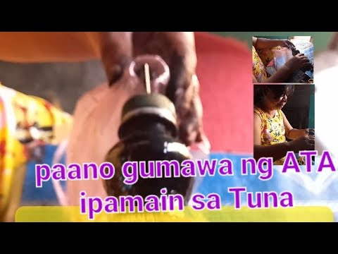 Tinta ng pusit ginagawang pamain sa tuna / Paano gumawa ng ATA/ Squid ...