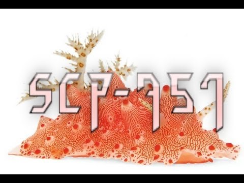 [SCP PROJECT: SCP-751] [CLEARANCE: LEVEL 4+] | SCP Foundation | Know ...
