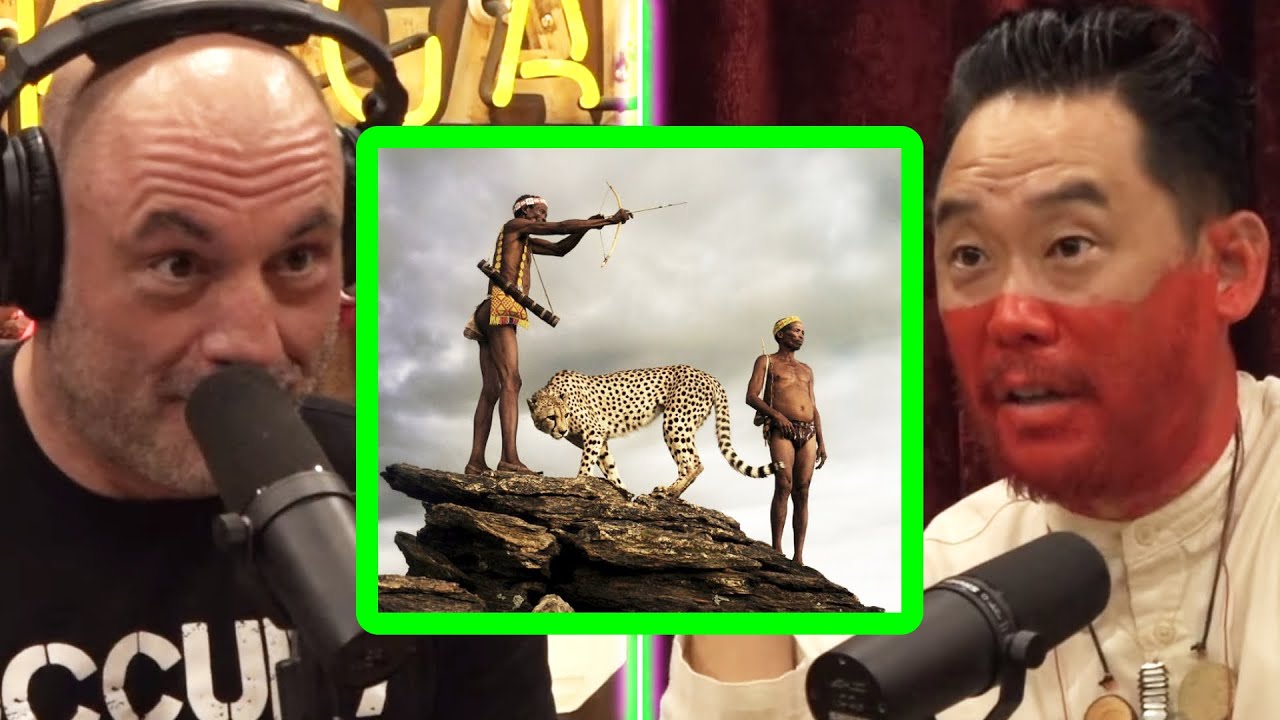 GRUESOME Hadza Tribe Hunting Story | Joe Rogan & David Choe | JRE 1965 ...