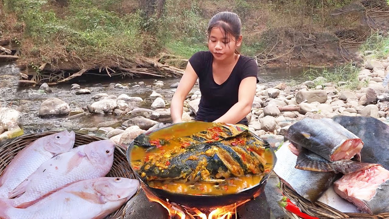 Catch fish for food in rainforest, Fish curry spicy & Fish soup tasty ...