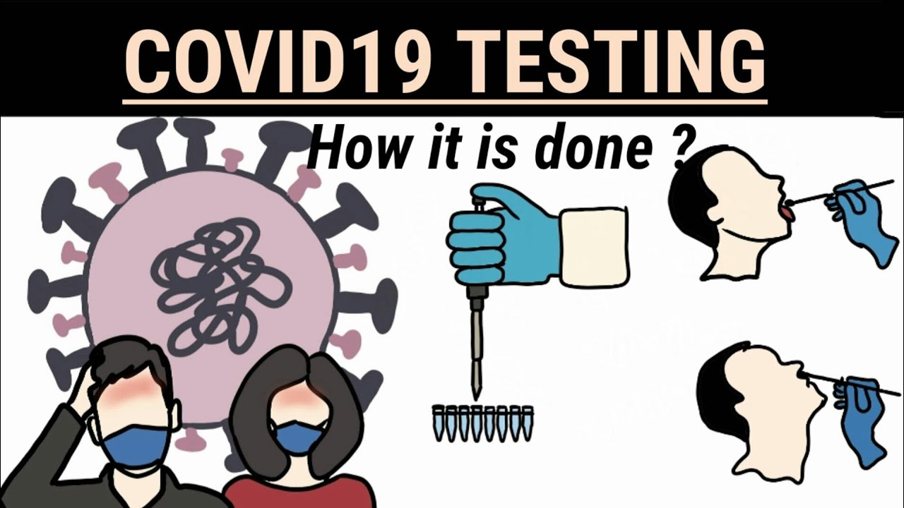 Coronavirus real time RT-PCR Test - Animation video - YouTube