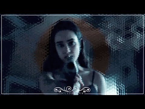 sarai cohen | señorita