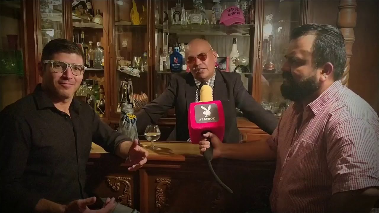 Vuelve el perro arrepentido.... - YouTube