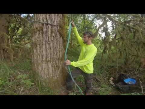 Basic Knots for Tree Work - Slippery Sheet Bend - YouTube