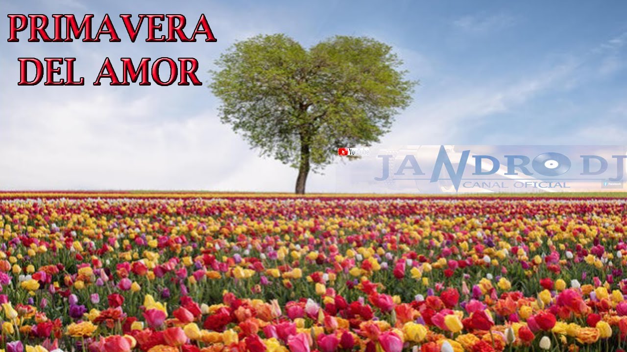 JaNdro Dj - La Primavera del Amor ️ - YouTube