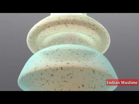 Cancar ka ilaj islamic way