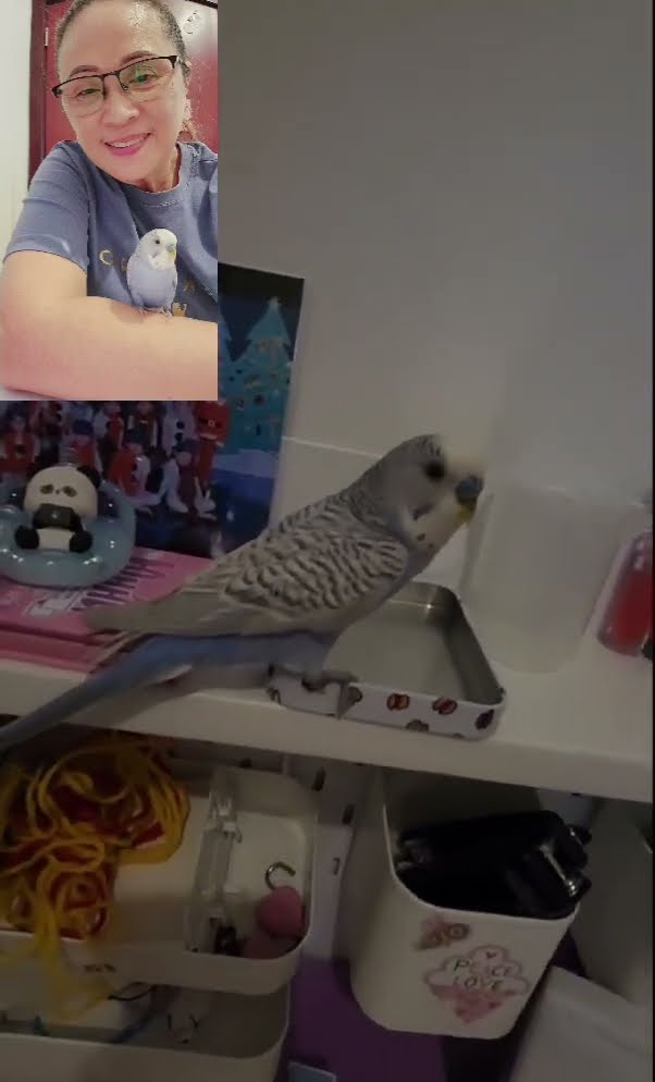 OUR LOVELY COCO #subscribers #viralvideo - YouTube