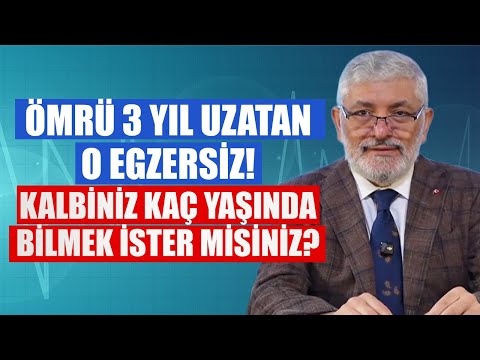 Damar Sertliğini Durdurmak Mümkün! Evde Kalp Yaşı Testi Nasıl Yapılır? | Prof. Dr. Yusuf KALKO