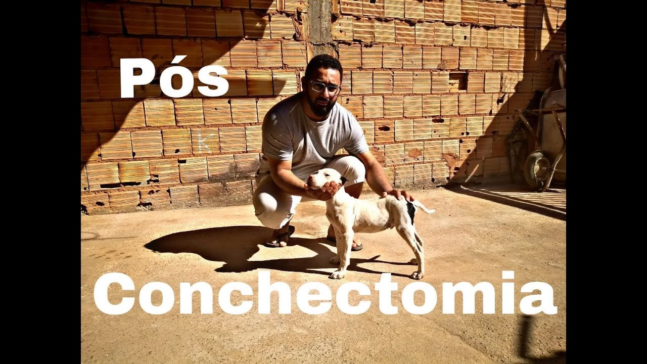 01-Pos Conchectomia - YouTube