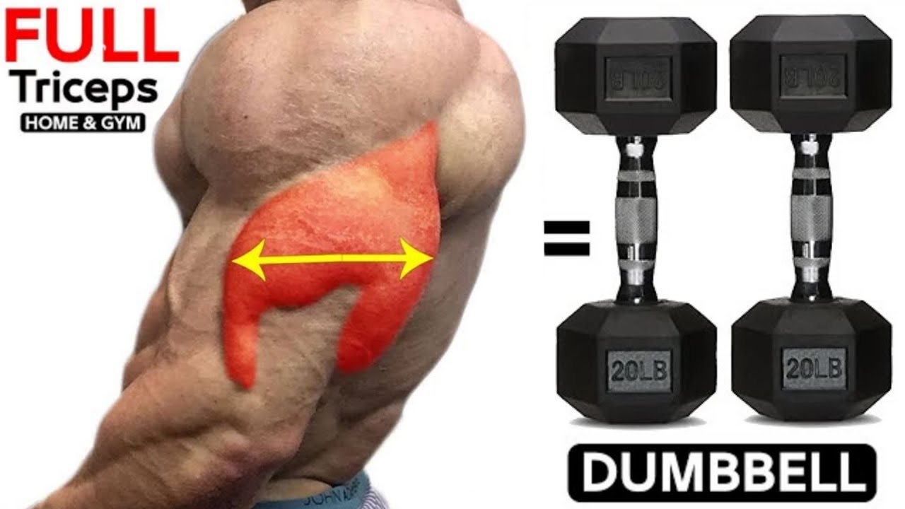 5 Easy Tricep Exercises With Dumbbells only | At Home | For Beginners ...