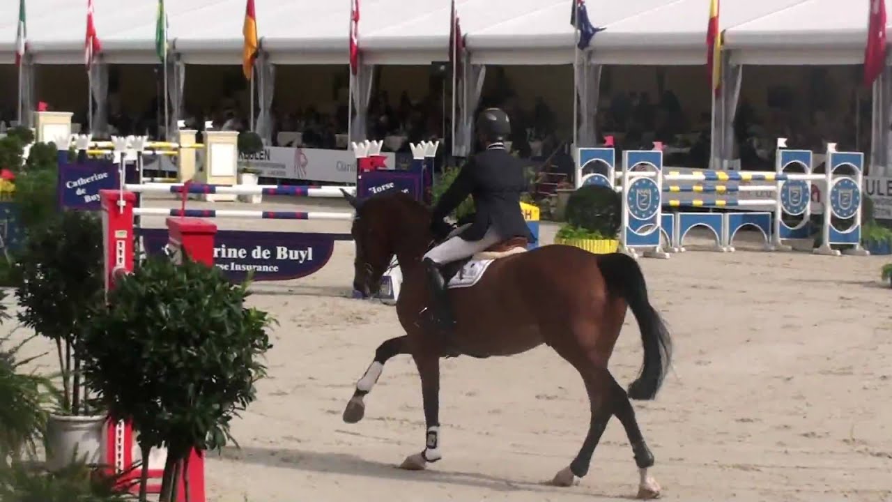 遠野産馬 HARRY BAY(WORLD BREEDING CANPIONSHIP 2009) - YouTube