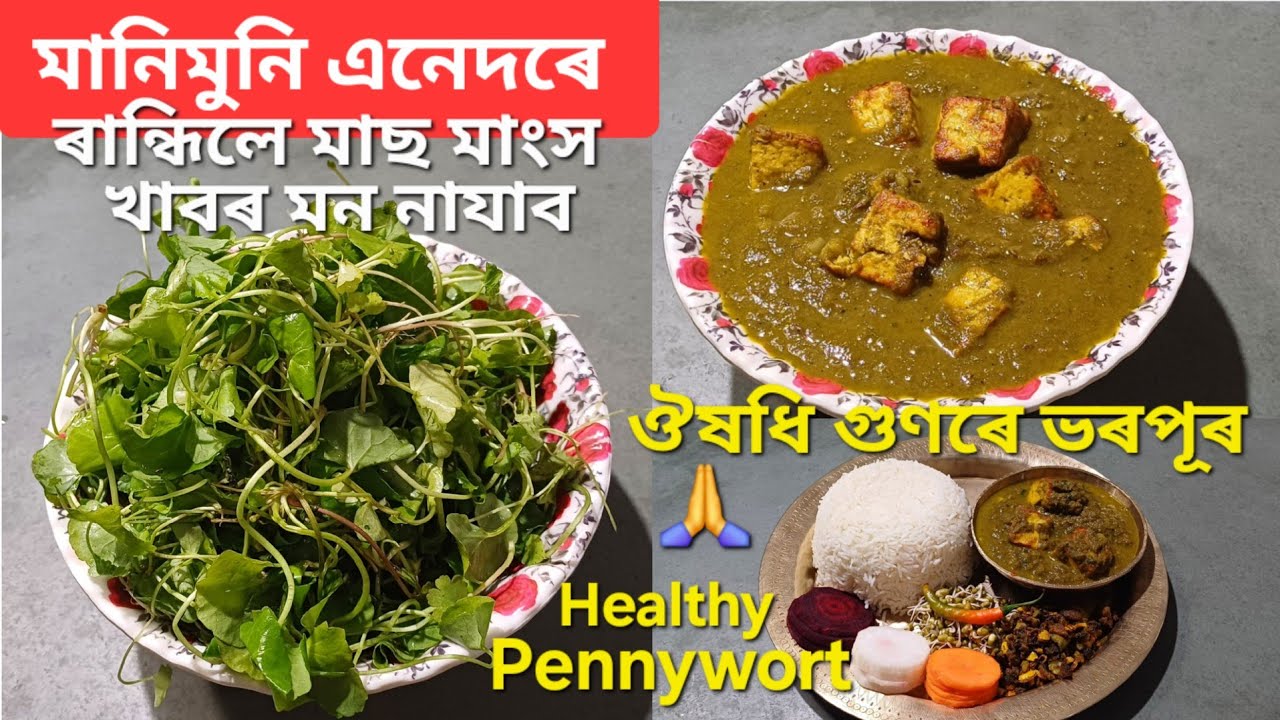 মানিমুনিৰ পুষ্টিকৰ আঞ্জাখন এইদৰে ৰান্ধি খাইছেনে/Pennywort Recipe ...