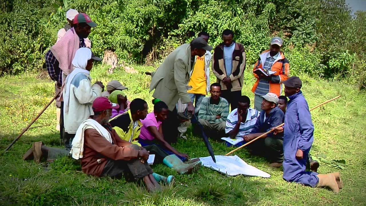 Participatory Forest Management in Ethiopia - YouTube