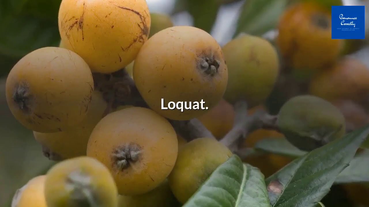 Correct Pronunciation Of Loquat | 2020 | - YouTube