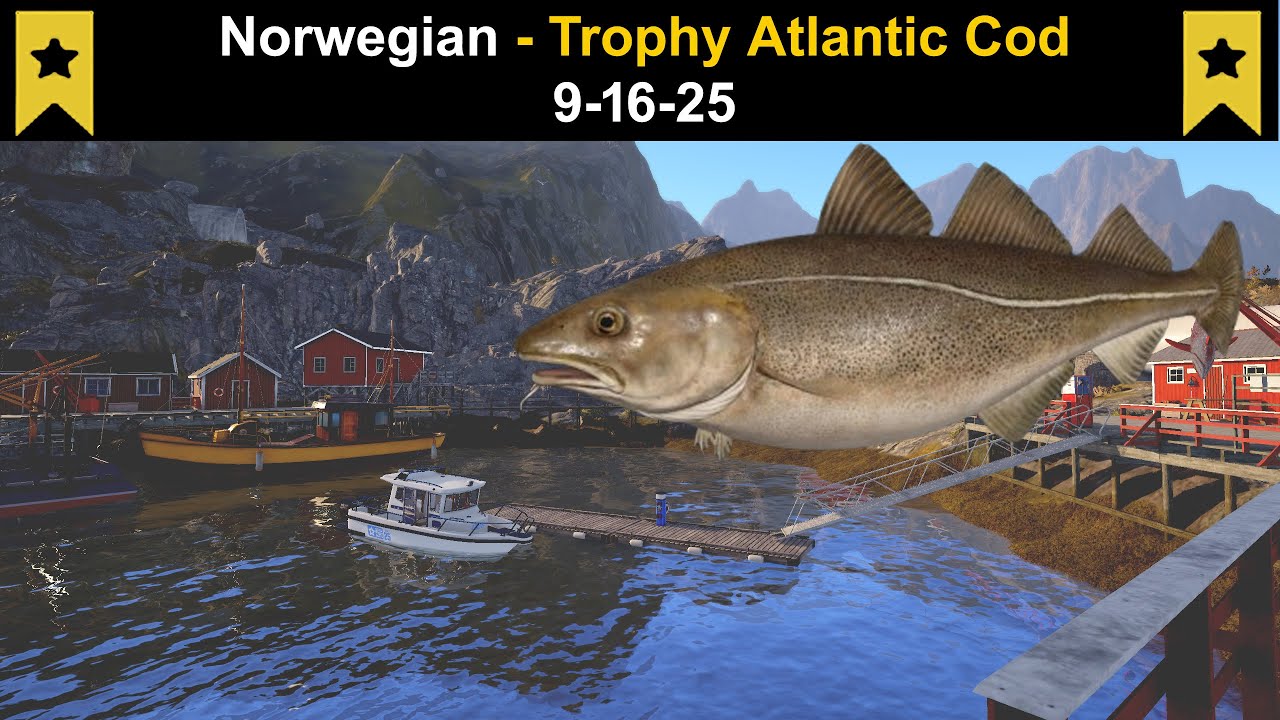 Russian Fishing 4, Norwegian - Trophy Atlantic Cod 9-16-25 - YouTube