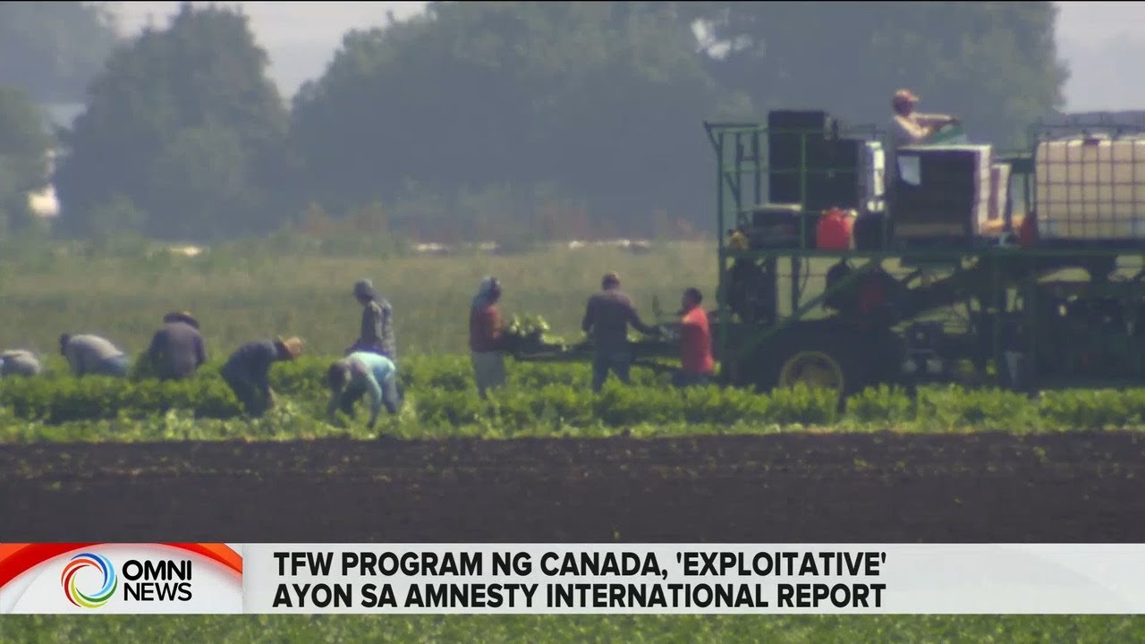 Temporary Foreign Worker program ng Canada, exploitative ayon sa ...