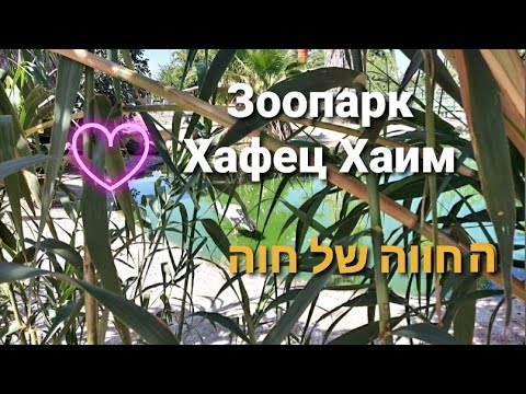 Зоопарк Хафец Хаим./החווה של חוה/Я живу в Израиле./Hafetz Haim.Istael ...