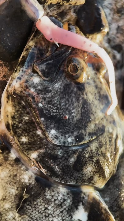 GO FISHING!! Ve a pescar 🎣🔥🎞️ #cinematic #cinema #pesca #pescador # ...