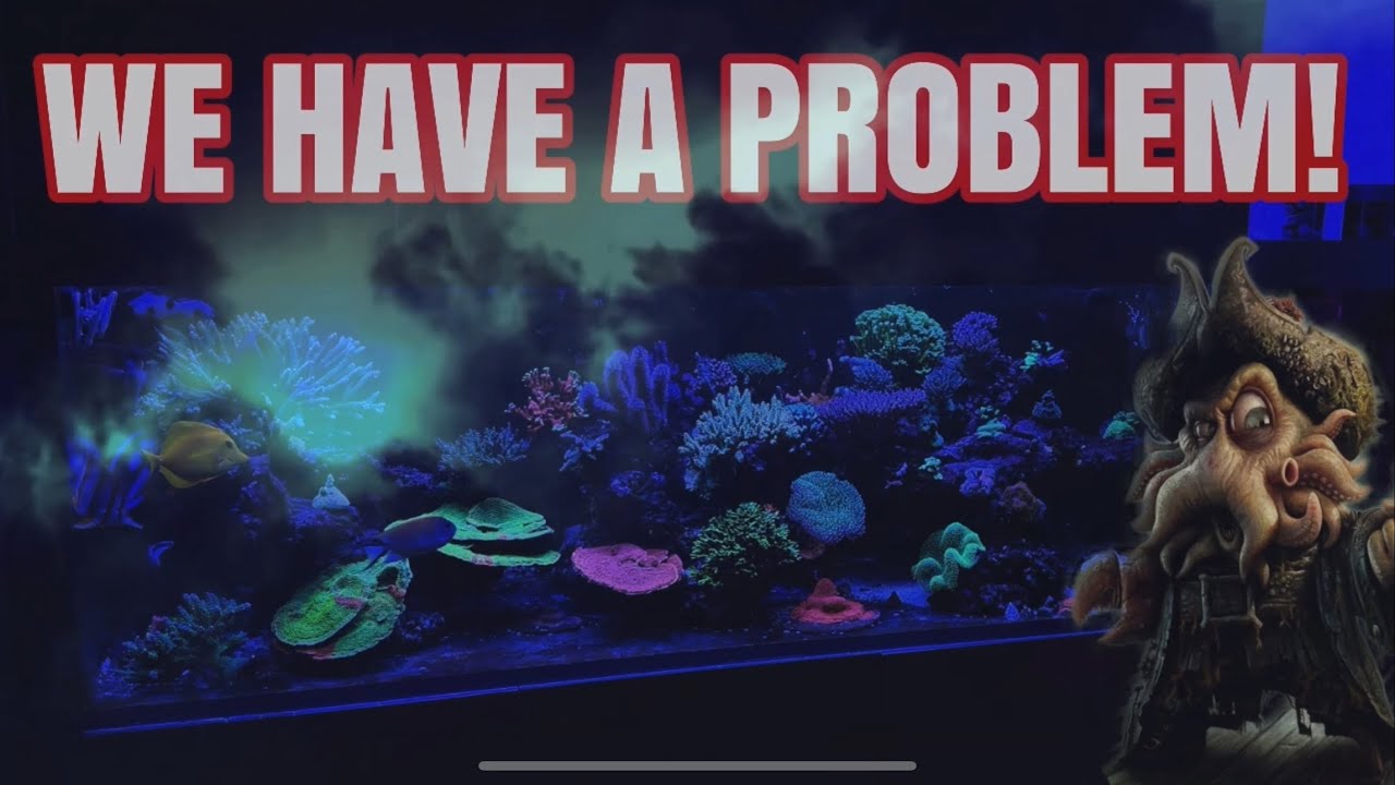 180 Gallon Reef Aquarium - Tank Crashing - YouTube