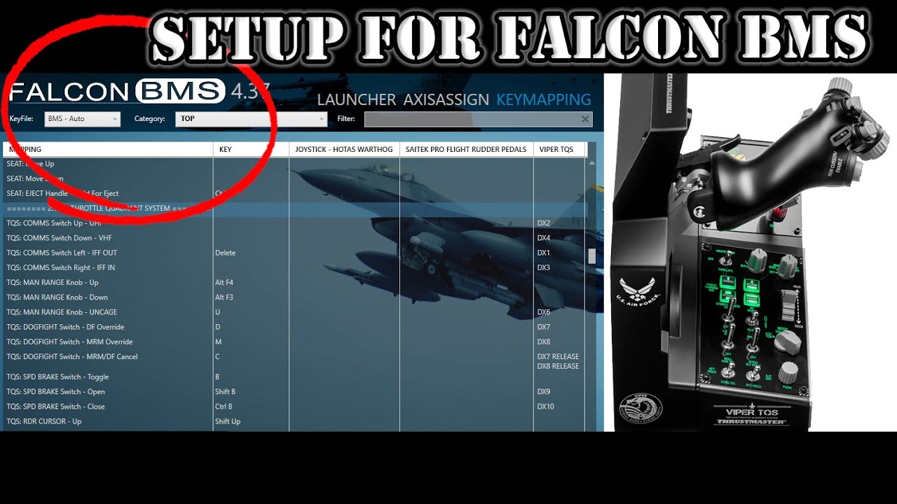 Thrustmaster Viper TQS Setup in Falcon BMS - YouTube