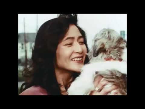 有言実行三姉妹シュシュトリアン