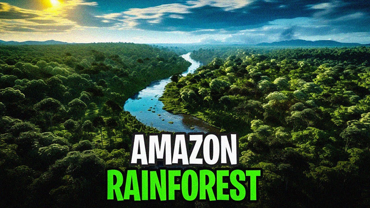 Revealing the Largest Secret of the Amazon Rainforest! - YouTube