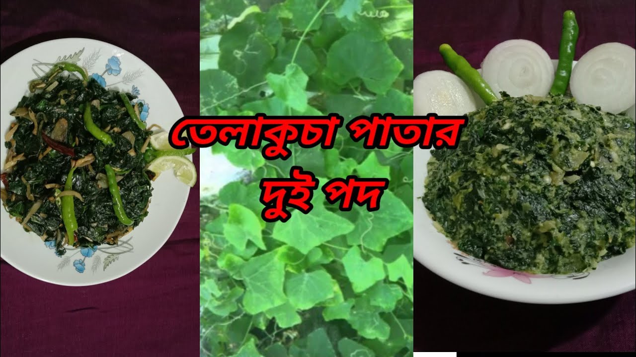 ঔষধি গুণ সম্পন্ন তেলাকুচা পাতার ভর্তা এবং ভাজি রেসিপি। Telakucha pata ...