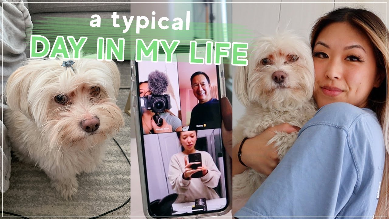 Work, Tik Tok, Filming, & Playing w/ Kilo | Vlogmas Day 7 - YouTube