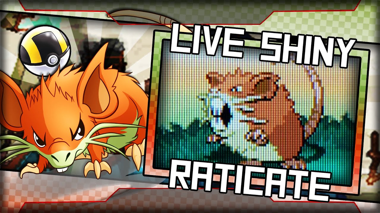 [LIVE!] Shiny Raticate after 9,228 Encounters! [White 2 #2] - YouTube