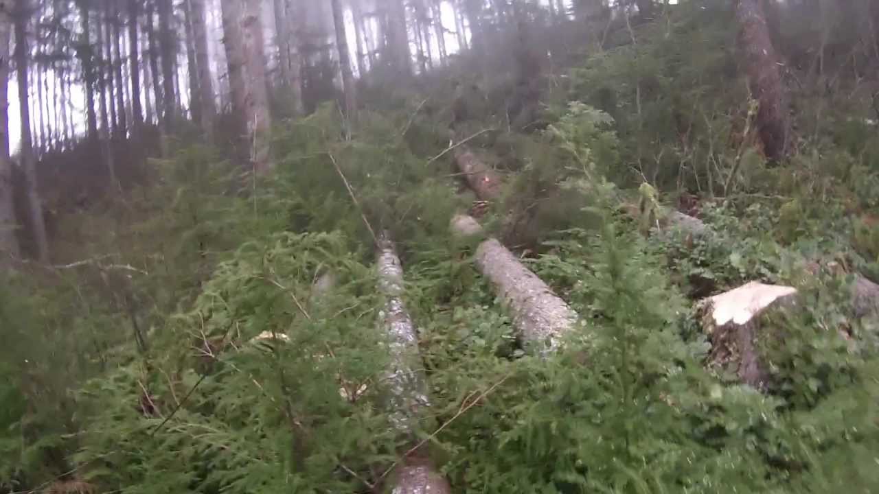 GoPro Timber Falling - YouTube