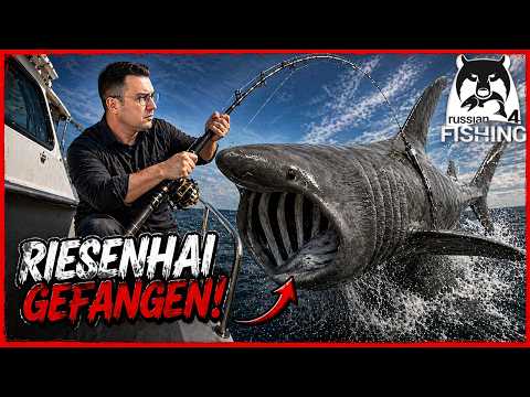 Mein Schwersten Fisch im Spiel gefangen Neuer PB Riesenhai Uncut Video | Russian Fishing 4 | Deutsch