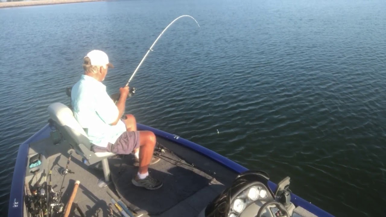 Double Rig Action On The White Perch - YouTube