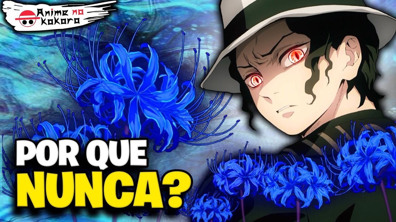 POR QUE MUZAN NUNCA ENCONTROU O LÍRIO ARANHA AZUL?? (Demon Slayer ...