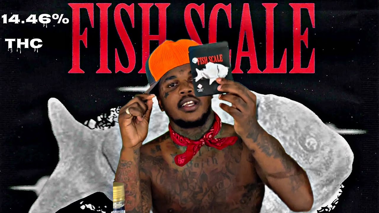 FISH SCALE by COOKIES 🐟 🐠 14.46% THC exotic weed strain review - YouTube