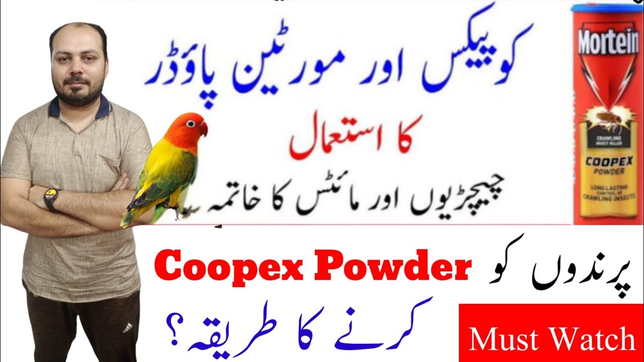 How do Coopex Powder Birds? l ؟ l Welcome Aviary پرندوں کو کوپكس پاؤڈر ...