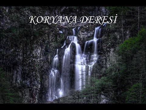 Koryana Deresi,  Eşsiz Müzik Adem Kodalak