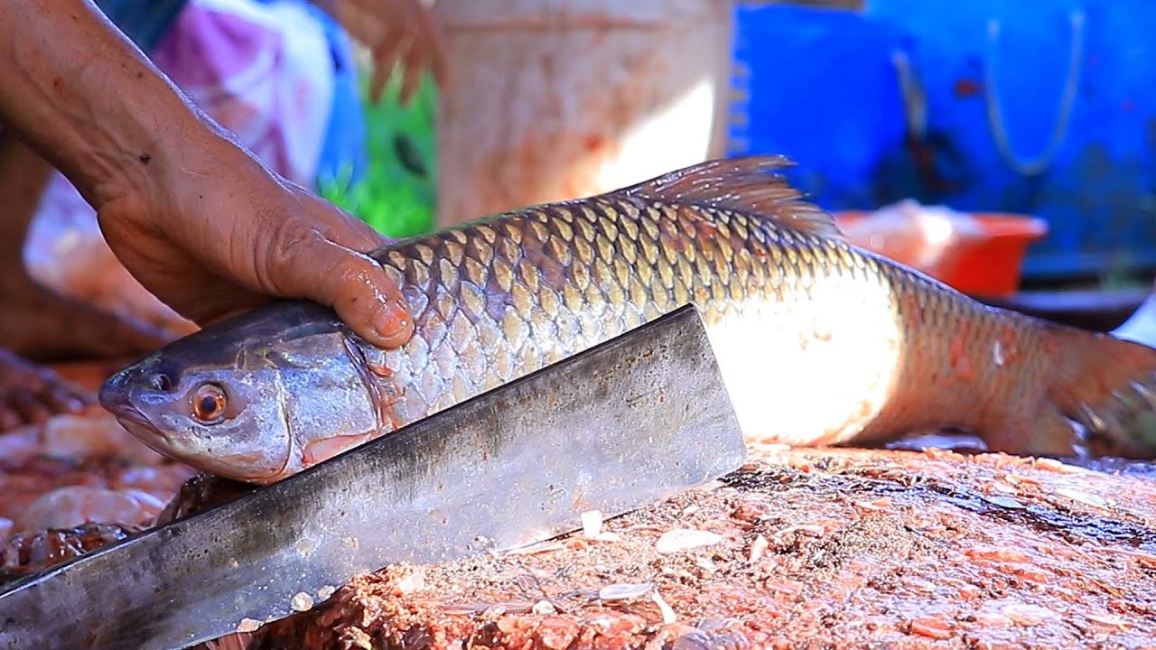 Amazing fish Cutting / Big Mrigol Fish Cutting By Expert Fish cutter ...