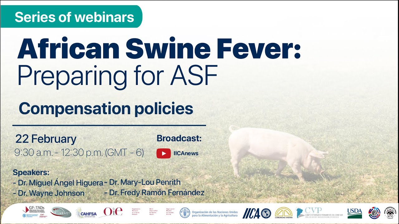 African Swine Fever: Preparing for ASF/ Compensation policies - YouTube