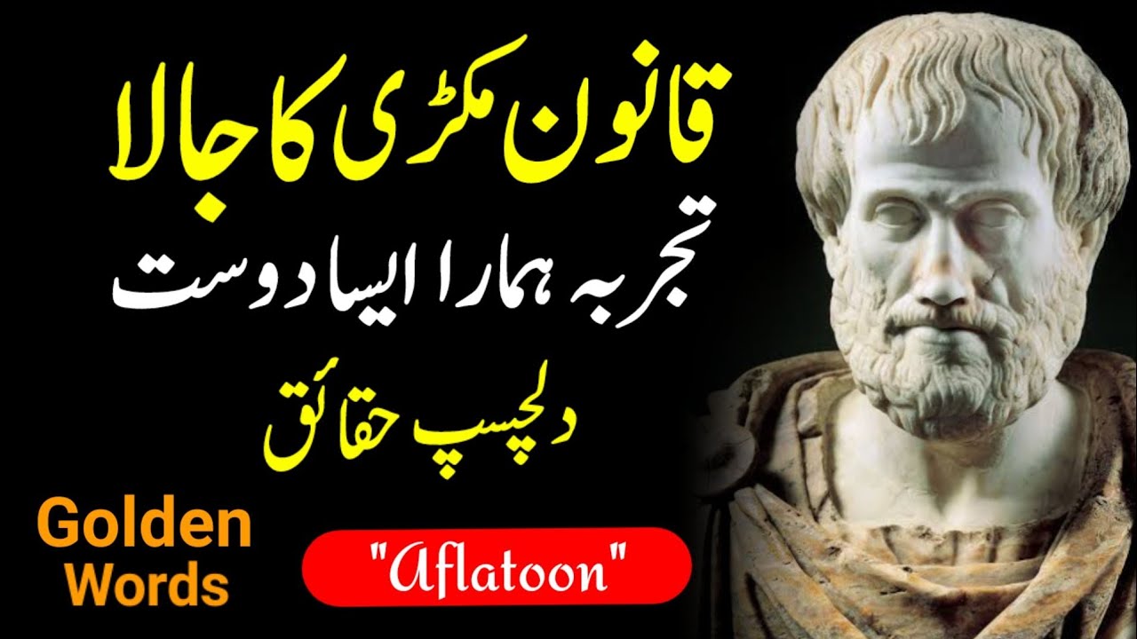 Qanoon Makdi Ka Jala | قانون مکڑی کا جالا | Aflatoon Plato | Golden ...