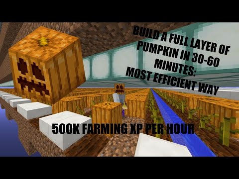 MOST EFFICIENT WAY TO BUILD A PUMPKIN FARM (30-60 Minutes) - YouTube